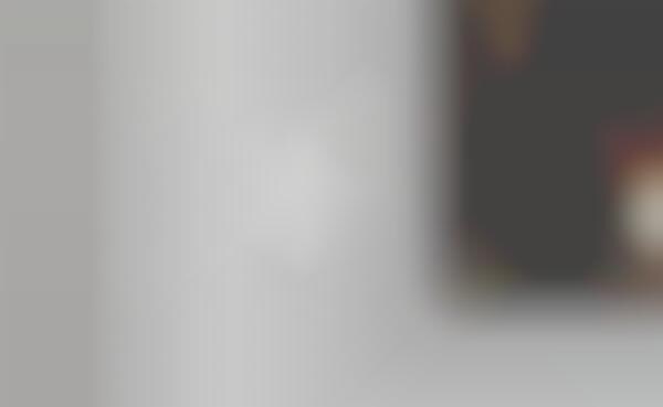 Dual-Purpose Security Sensors : Kangaroo Motion + Entry Sensor