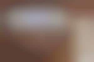 DIY Insect Stamp Kits : stamp bugs