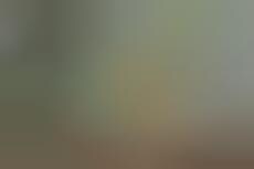 Paper Beer Bottles : Paper Beer Bottle