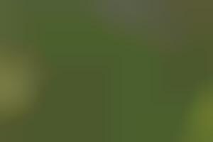 Detoxifying Algae-Infused Tiles : Contaminated water solution