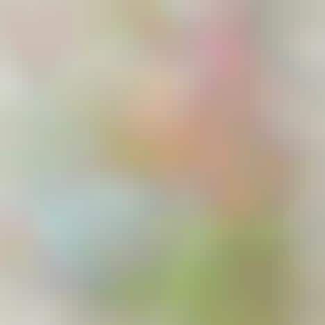 Playful Food-Decorating Kits : decorating kits