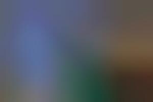 Wizardly Invisibility Cloaks : potter invisibility cloak