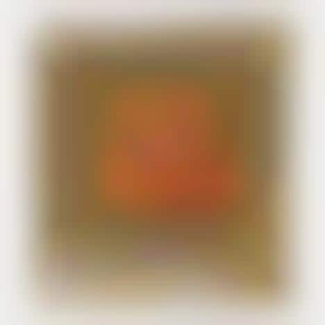 Spicy Sunflower Seed Snacks : BIGS Takis Fuego Sunflower Seeds