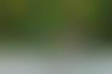 Bitcoin-Powered Retail Payment Platforms : bitcoin for retail