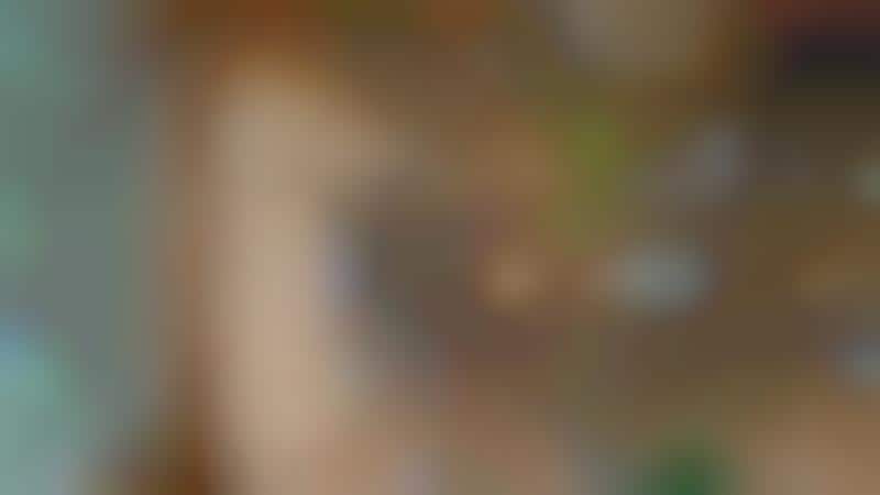 Top 30 Home Trends in December