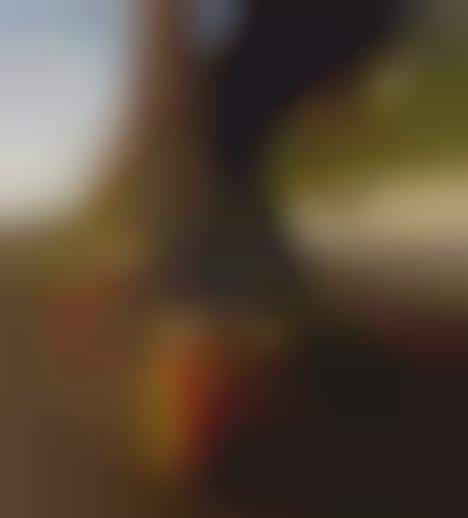 Electrified Off-Road Skateboards : all-terrain electric skateboard