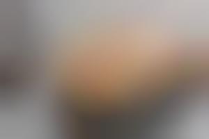 Airy Artistically Sculpted Mouses : Ice Mouse