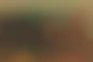 Stackable Chocolate Thins : Divine Chocolate Crispy Thins