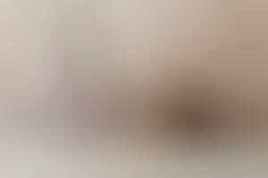 Oyster Shell Gin Spirits : half shell gin