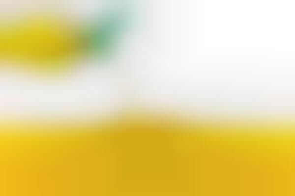 Vegetable Oil-Fueled Cars : Antique Mercedes