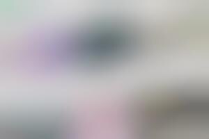 Freelance Influencer Platforms : Influencer Store