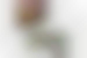 Extra-Long Board Games : monopoly longest game ever