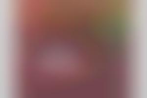 On-the-Go Meat Snacks : Peperami Beef Bar