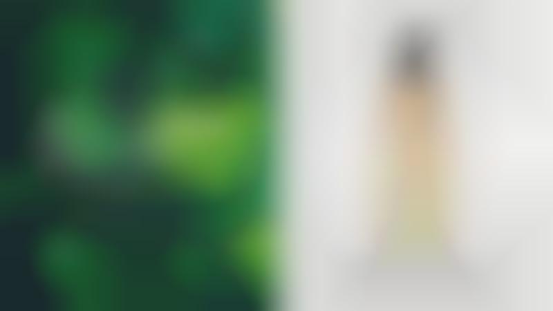 18 Paper Packaging Innovations