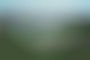 Transparent Family-Owned Farms : Atkins Ranch