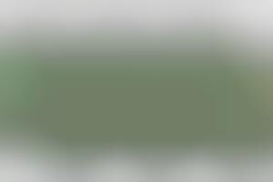 Antioxidant Matcha Gummies : matcha bears