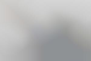 Debris-Free Drinking: The Turtle Tea Kettle Prevents Loss of Loose Leaves