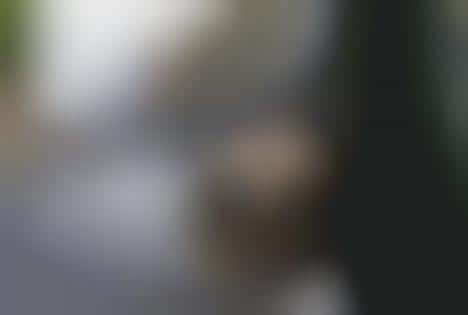 Depressed Dogs: Expressive Pugs Show Their Vulnerable Side in Viral Photos