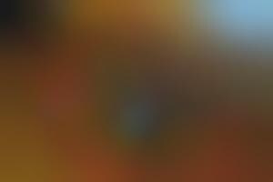 Tribaltography: Paul Sika Exudes the Colorful and Vibrant Spirit of Africa