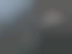 Solar-Powered Shopping Malls: Japan's Aeon and Oasis 21 Green Architecture