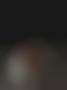 Exploding Flowers: Ori Gersht is Inspired by a 19th Century Painting