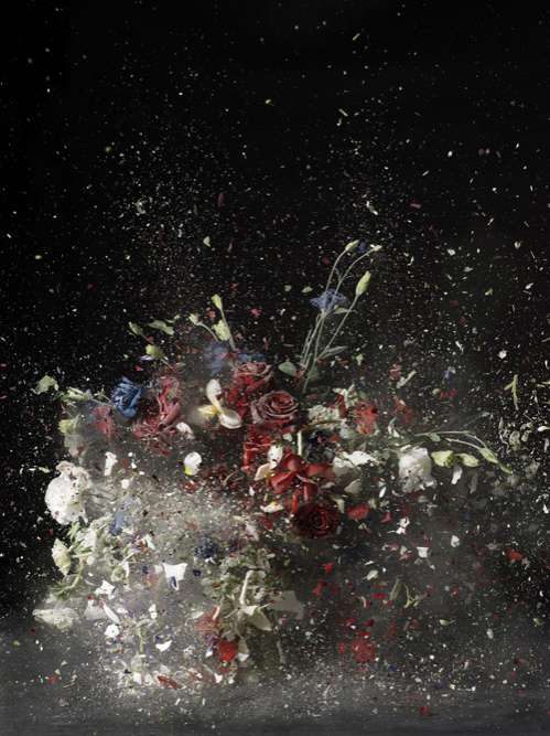 Exploding Flowers: Ori Gersht is Inspired by a 19th Century Painting