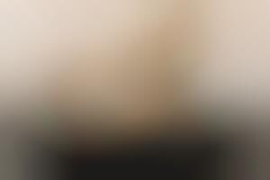 Birdlike Loungers: Nature-Inspired 'Indulgence' Seating by Lukasz Opalinski