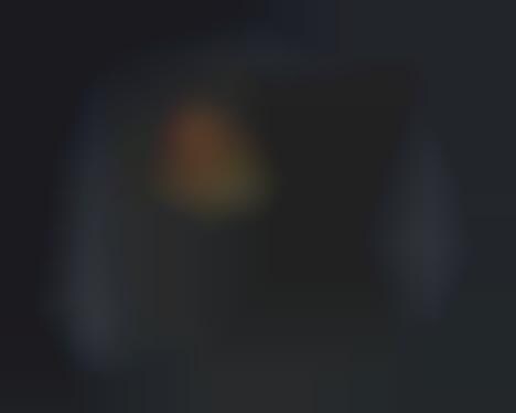 All-in-One Outdoor POS Systems : outdoor payment terminal