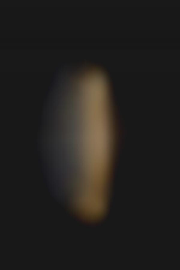 Science-Inspired Designer Lamps : cell collection