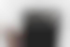 Wi-Fi-Enabled Cat Feeders : feeder robot