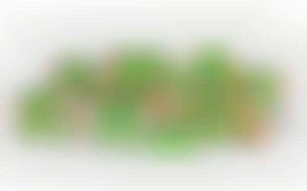 Convenient Vegan Meal Solutions : Co-op Gro Range