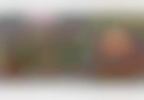 Sales-Focused Display Contests : display contest