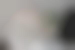 Lunchbox Meal Cookers : multipurpose rice cooker