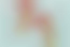 Plant-Based Sustainable Toothpastes : Vegan Toothpaste in Recyclable Tubes