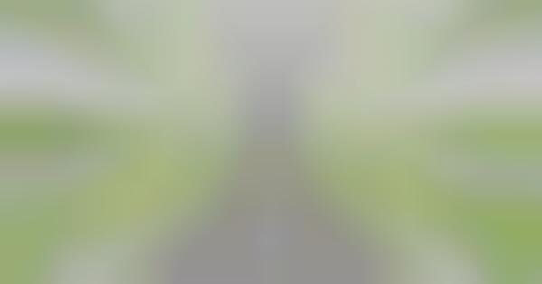 Vertical Smart City Farms : Planty Cube