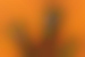 Gender-Neutral Grooming Brands : Made For YOU