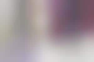 Functional Wellness Beverages : Numi Organic Tea’s Sweet Slumber