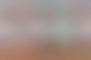 Chocolate-Covered Bacon Snacks : OINKS