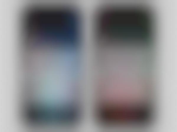 Live Mobile Election Information : election questions