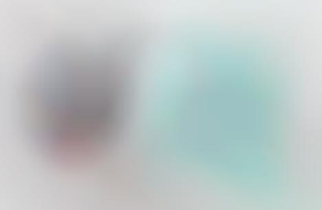 Branded Streamlined Decluttering Kits : Clean Out Kits