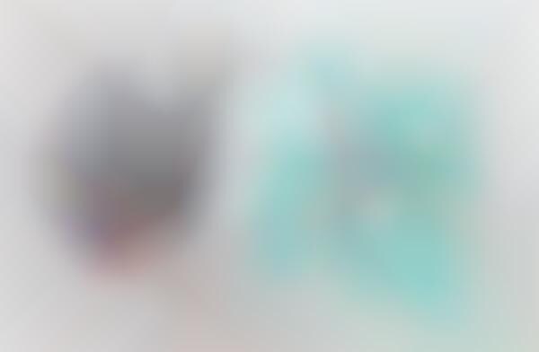 Branded Streamlined Decluttering Kits : Clean Out Kits