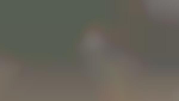 Holistic Audio Access Speakers : Sonoro ELITE