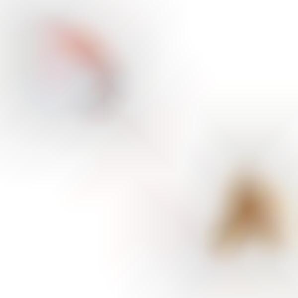 Auto-Laser Pet Toys : PetDroid Boltz