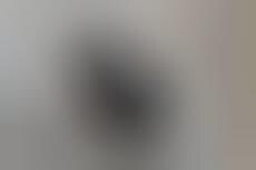 Reusable Mug Initiatives : reusable mugs