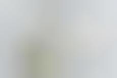 Icelandic Moss-Infused Hair Products : Moo Hair