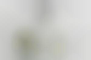 Icelandic Moss-Infused Hair Products : Moo Hair