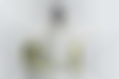 Icelandic Moss-Infused Hair Products : Moo Hair