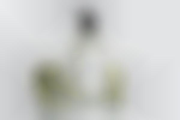 Icelandic Moss-Infused Hair Products : Moo Hair