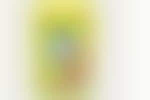 Individually Wrapped Easter Chicks : PEEPS Egg Hunt