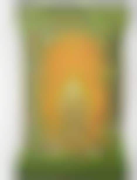 Crispy Avocado - Avocado chips become a nutritious way to snack